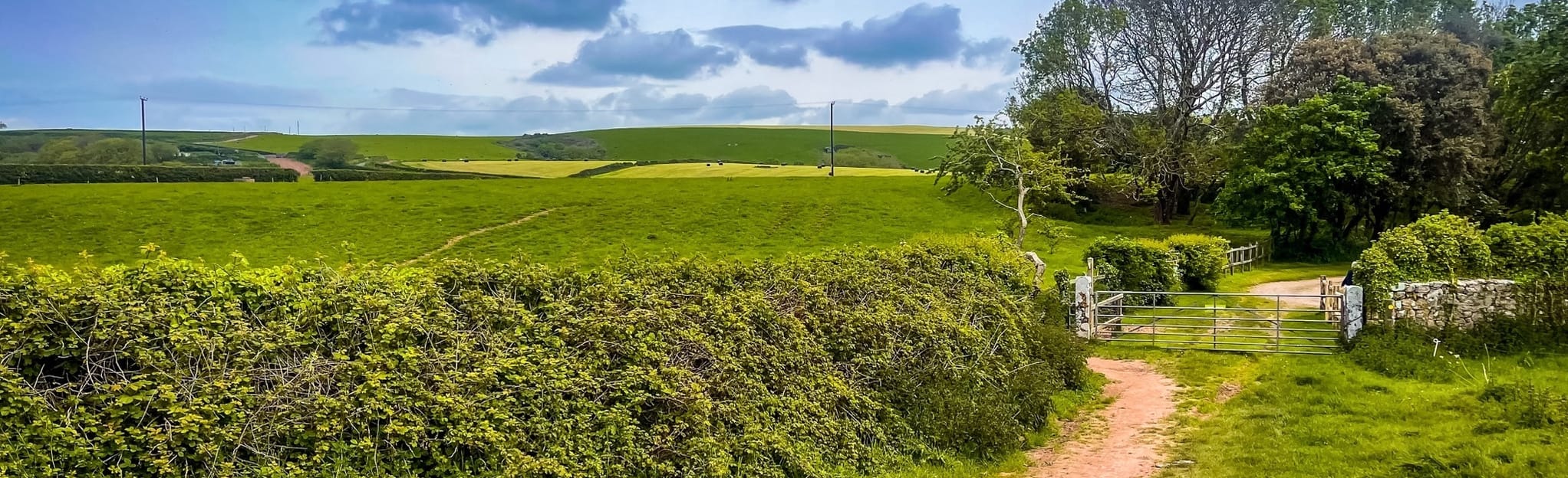 Stackpole Quay and Bosherston Lakes: 306 Reviews, Map - Pembrokeshire ...