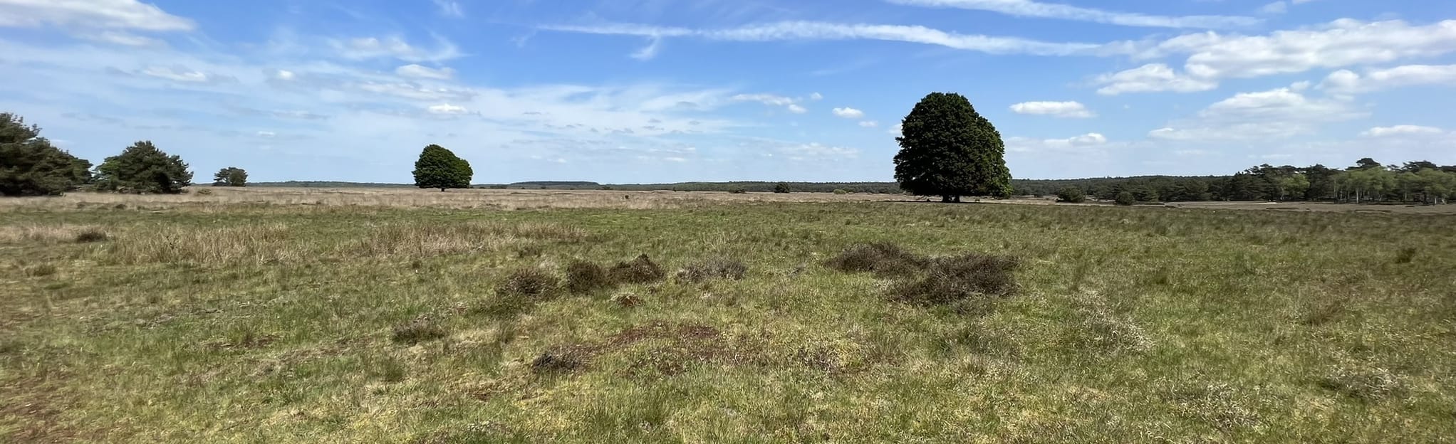 Visitor Center Hoge Veluwe - Deelensche Veld Cycle Trail: 96 Fotos ...