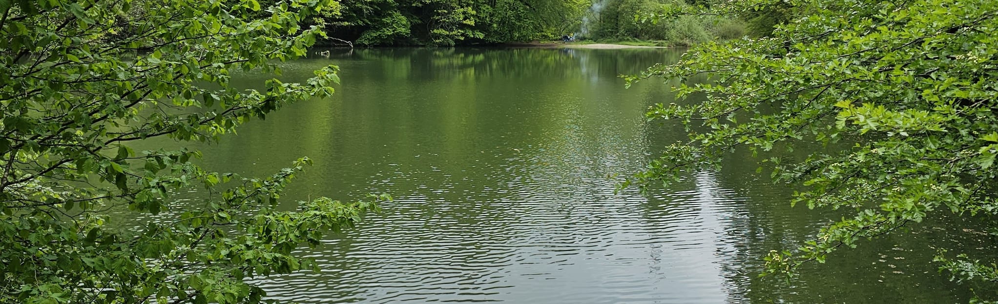 Kempten - Wetzikon, Zurich, Switzerland - Map, Guide | AllTrails