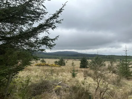 10 Best Trails and Hikes in Aberdeen | AllTrails