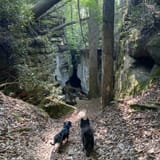 Split Bow Arch Loop, Kentucky - 200 Reviews, Map | AllTrails