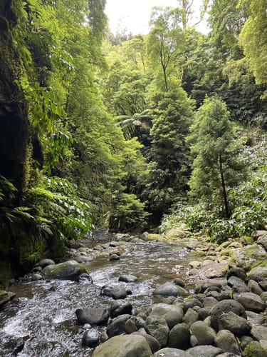 Água Retorta : les meilleures randonnées avec une cascade en 2023 ...