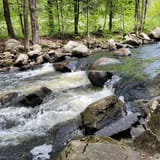 Old Mill Trail, Massachusetts - 314 Reviews, Map | AllTrails