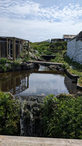 Best 10 Hikes and Trails in Cornwall Area of Outstanding Natural Beauty ...