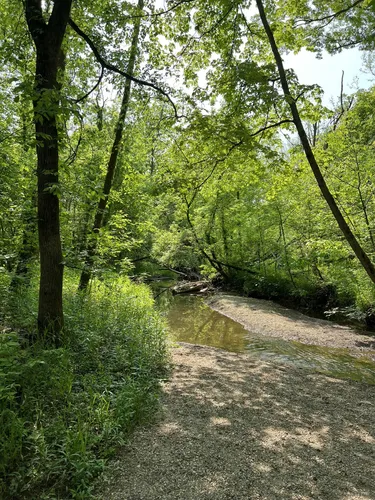 Best Hikes and Trails in Avon Town Hall Park | AllTrails