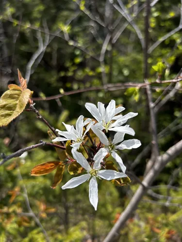 2023 Best City Walk Trails in Timberlea | AllTrails