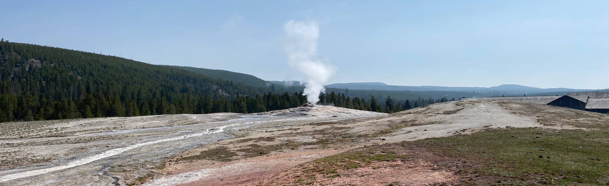 Old Faithful Geyser Loop Trail: 797 Reviews, Map - Montana | AllTrails