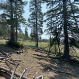 Geyser Hill Loop Trail and Observation Point, Montana - 324 Reviews ...
