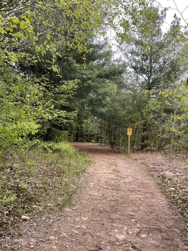 Best Hikes and Trails in Monticello | AllTrails
