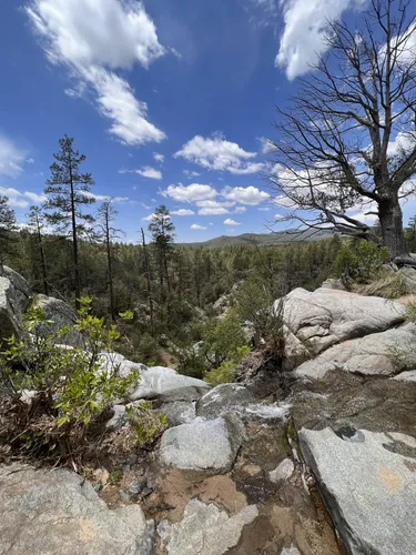 10 Best Kid Friendly Trails in Prescott National Forest | AllTrails