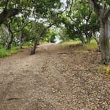 Ontario Ridge Trail via Sycamore Springs, California - 445 Reviews, Map ...