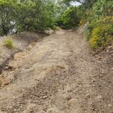 Ontario Ridge Trail via Sycamore Springs, California - 445 Reviews, Map ...