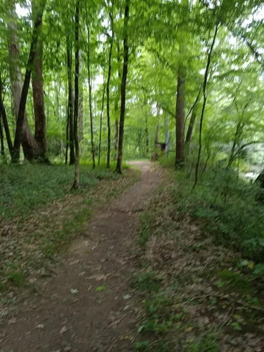 Best Hikes and Trails in Audubon Acres | AllTrails