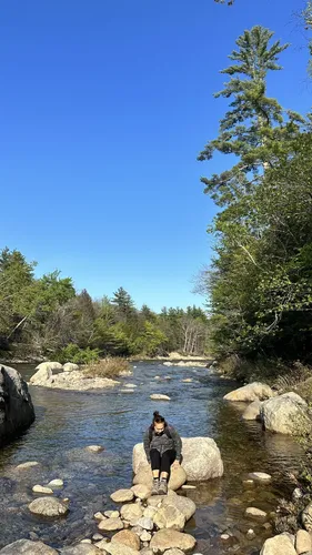 Best Hikes and Trails in Albany Town Forest | AllTrails