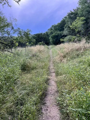 Best Hikes and Trails in Miller Spring Park | AllTrails