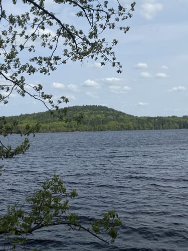 2023 Best Easy Trails in City of Manchester Water Works | AllTrails