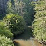 Rock Creek Trail: Orchard Park to Orenco Woods, Oregon - 579 Reviews ...