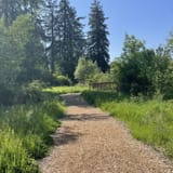 Rock Creek Trail: Orchard Park to Orenco Woods, Oregon - 579 Reviews ...