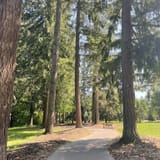 Rock Creek Trail: Orchard Park to Orenco Woods, Oregon - 579 Reviews ...
