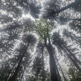 Genesee County Park and Forest Trail, New York - 270 Reviews, Map ...