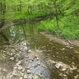 Genesee County Park and Forest Trail, New York - 270 Reviews, Map ...