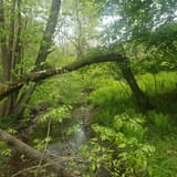 Genesee County Park and Forest Trail, New York - 270 Reviews, Map ...