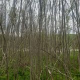 Genesee County Park and Forest Trail, New York - 270 Reviews, Map ...