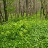 Genesee County Park and Forest Trail, New York - 270 Reviews, Map ...