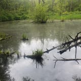 Genesee County Park and Forest Trail, New York - 284 Reviews, Map ...