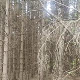 Genesee County Park and Forest Trail, New York - 284 Reviews, Map ...