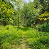 Genesee County Park and Forest Trail, New York - 284 Reviews, Map ...