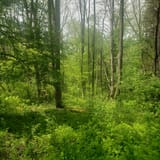 Genesee County Park and Forest Trail, New York - 284 Reviews, Map ...