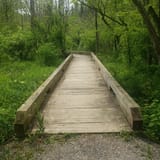 Genesee County Park and Forest Trail, New York - 284 Reviews, Map ...