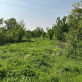 Quail Trail Loop, Utah - 287 Reviews, Map | AllTrails