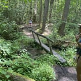 Cosby Nature Trail, Tennessee - 479 Reviews, Map | AllTrails