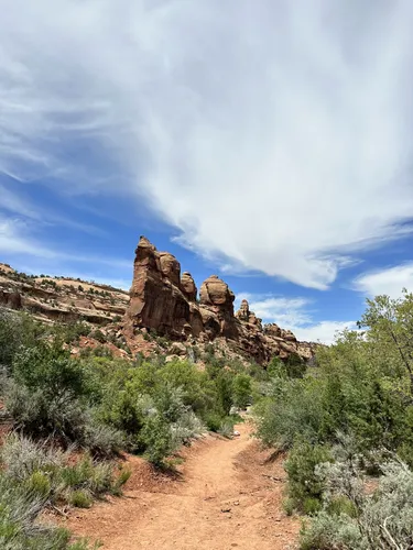 10 Best Trails and Hikes in Grand Junction | AllTrails