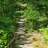 Red Cedar Trail, Illinois - 502 Reviews, Map | AllTrails