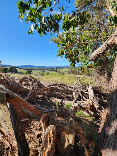 Best Hikes and Trails in Alum Cliffs State Reserve | AllTrails