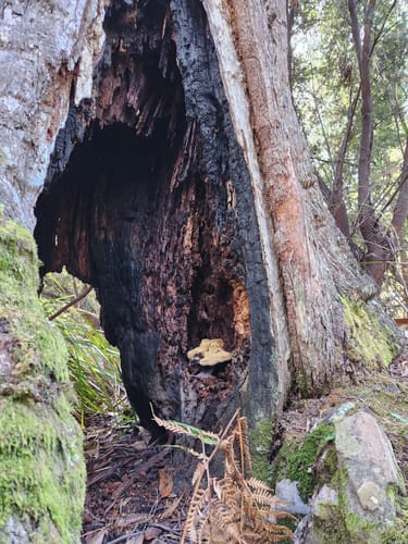 Best Hikes and Trails in Alum Cliffs State Reserve | AllTrails