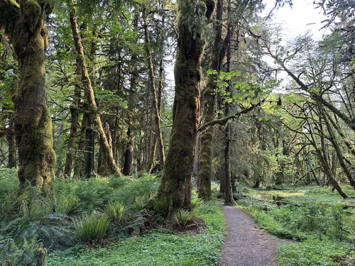 Best Hikes and Trails in Amanda Park | AllTrails