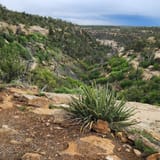 Spruce Canyon Trail, Colorado - 280 Reviews, Map | AllTrails