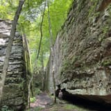 Panther Den Loop, Illinois - 844 Reviews, Map | AllTrails