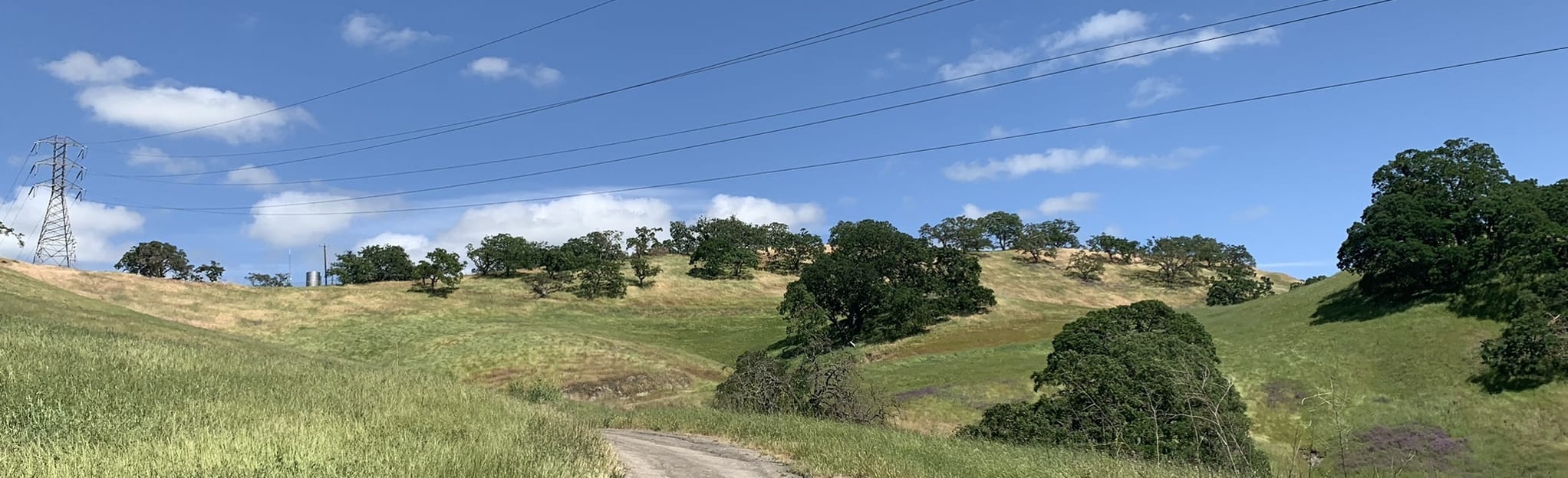 Borges Ranch, Sugarloaf Shell Ridge, Corral Spring, and Costanoan Loop ...