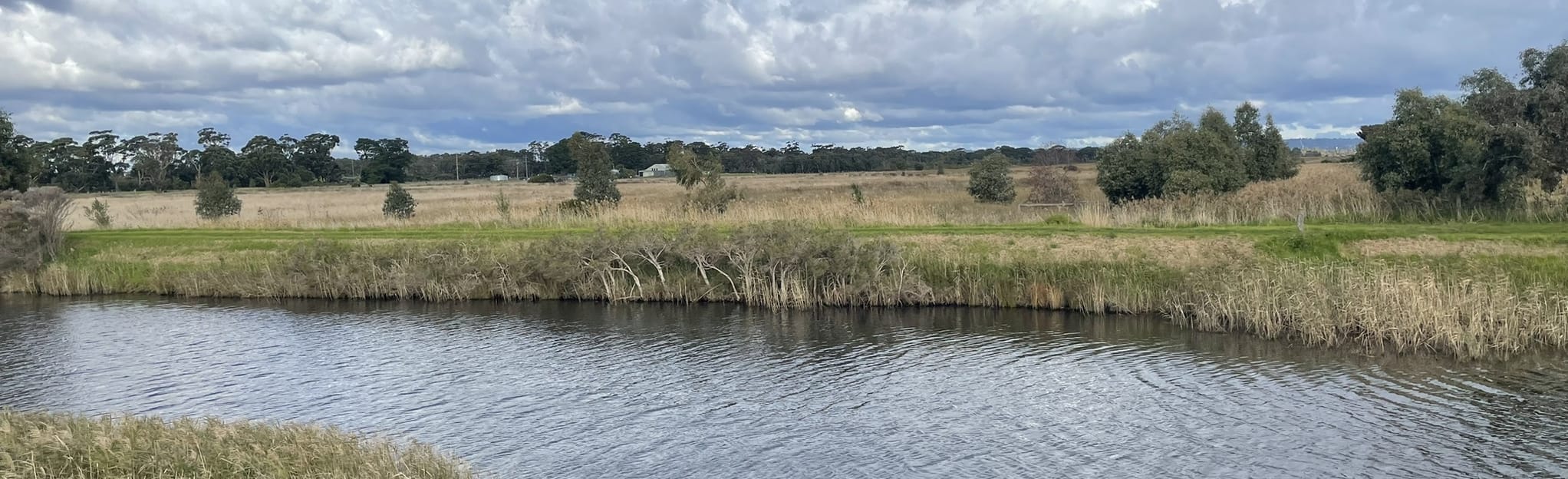 Edithvale-Seaford Wetlands Trail, Victoria, Australia - 141 Reviews ...