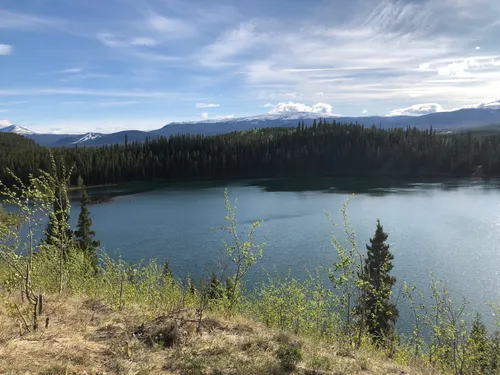 10 Best Trails and Hikes in Whitehorse | AllTrails