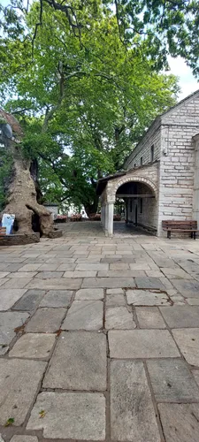 Best Forest Trails in Sarakinos - Kaliakouda - Panagias - Pournari ...