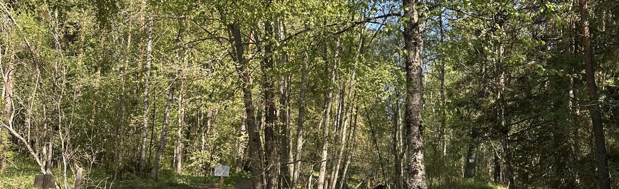 Saku, Jaama-Tee, Harju, Estonia - 20 Reviews, Map | AllTrails