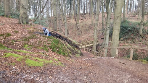 2023 Best River Trails in Padborg | AllTrails