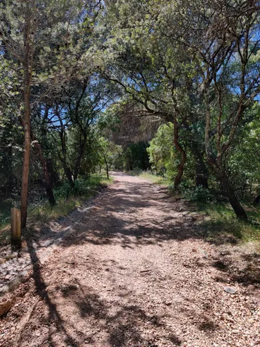 2023 Best 10 Forest Trails in Monsanto Forest Park | AllTrails