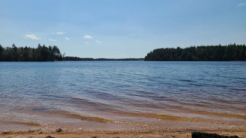 Best Forest Trails in Musquash | AllTrails